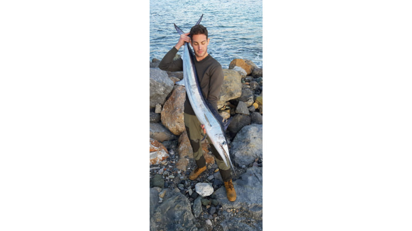 Pesca record nel mare di Noli: un'aguglia da 14 kg - Savonanews.it
