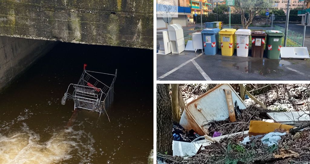 Segnalazioni di maltrattamenti animali e illeciti ambientali: nuovo ...